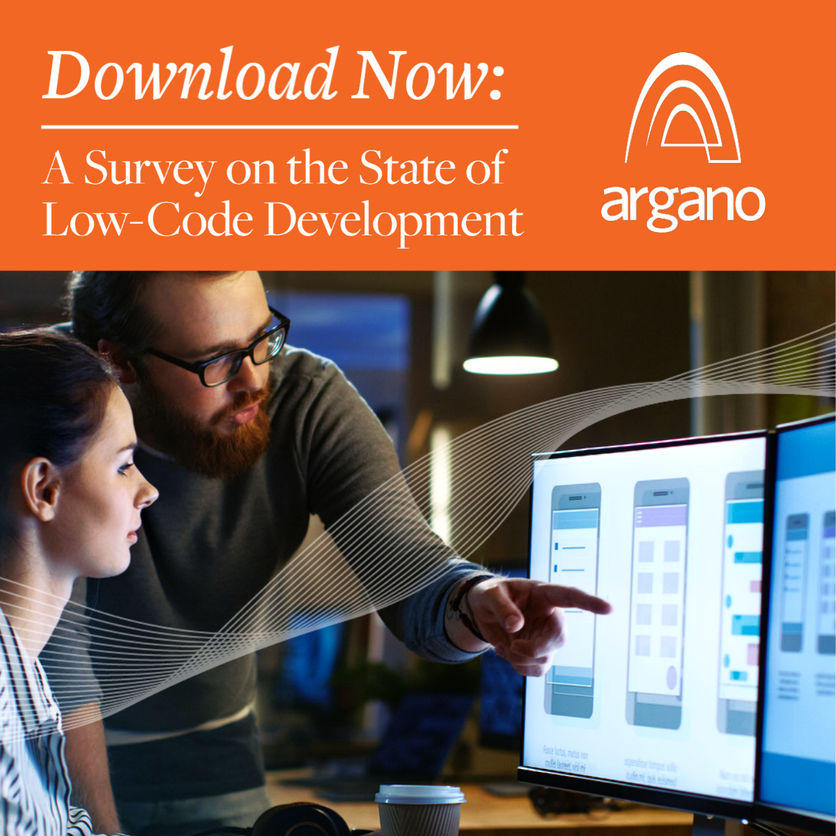 BWG Strategy Low-Code Custom Research Report